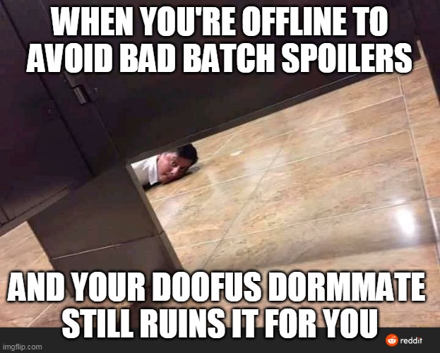 Bad Batch Spoiler Alert - The Dormmate | Scrolller