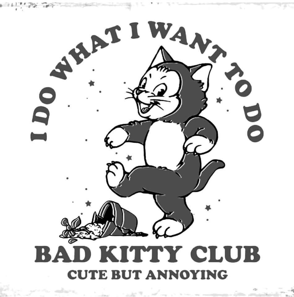 Bad kitten? I think they mean adorable Kitty :) | Scrolller