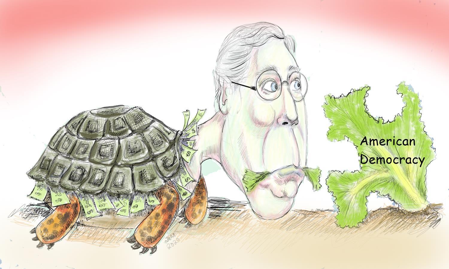 Bad Turtle | Scrolller