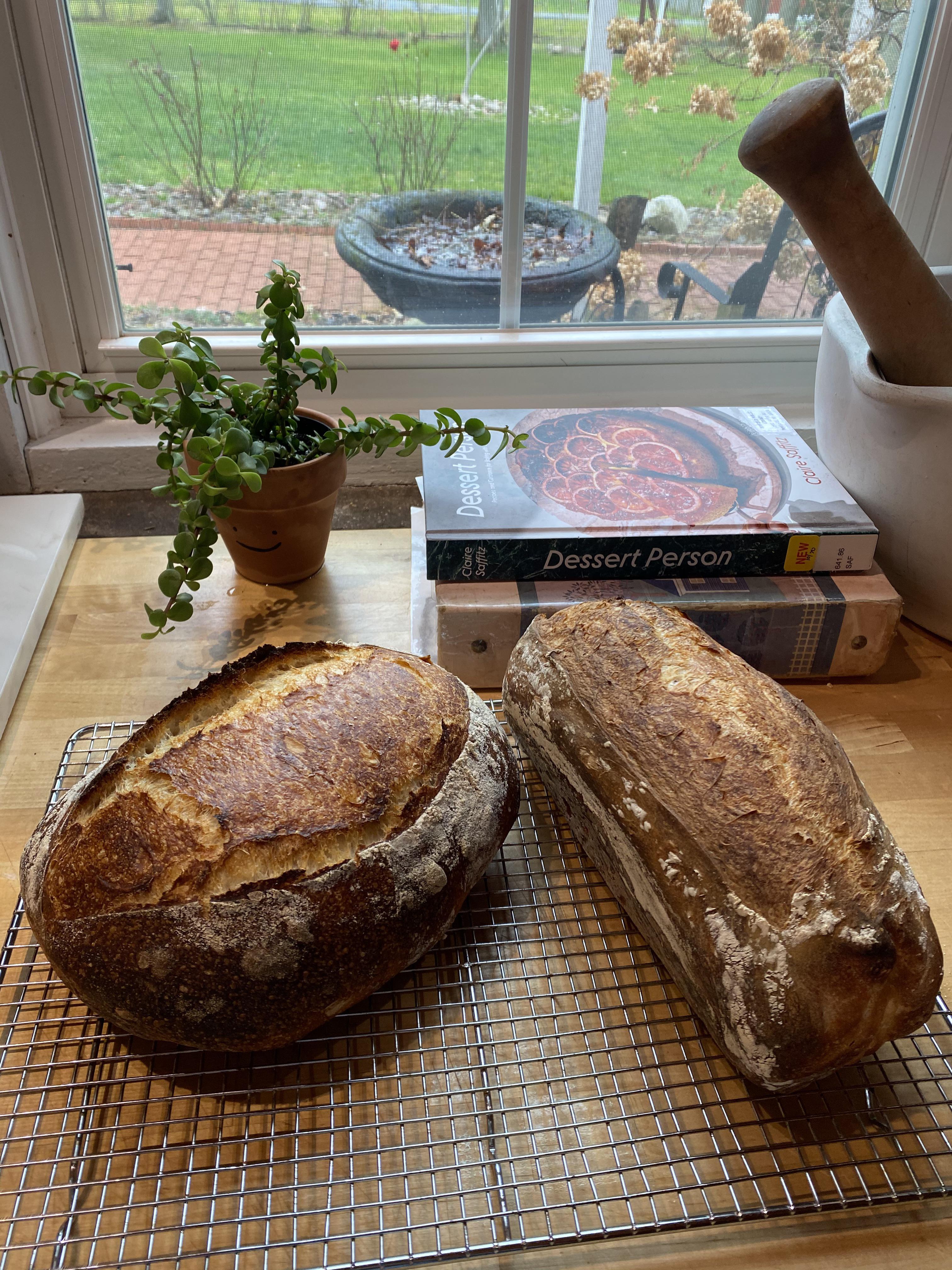 Baking my blues away | Scrolller