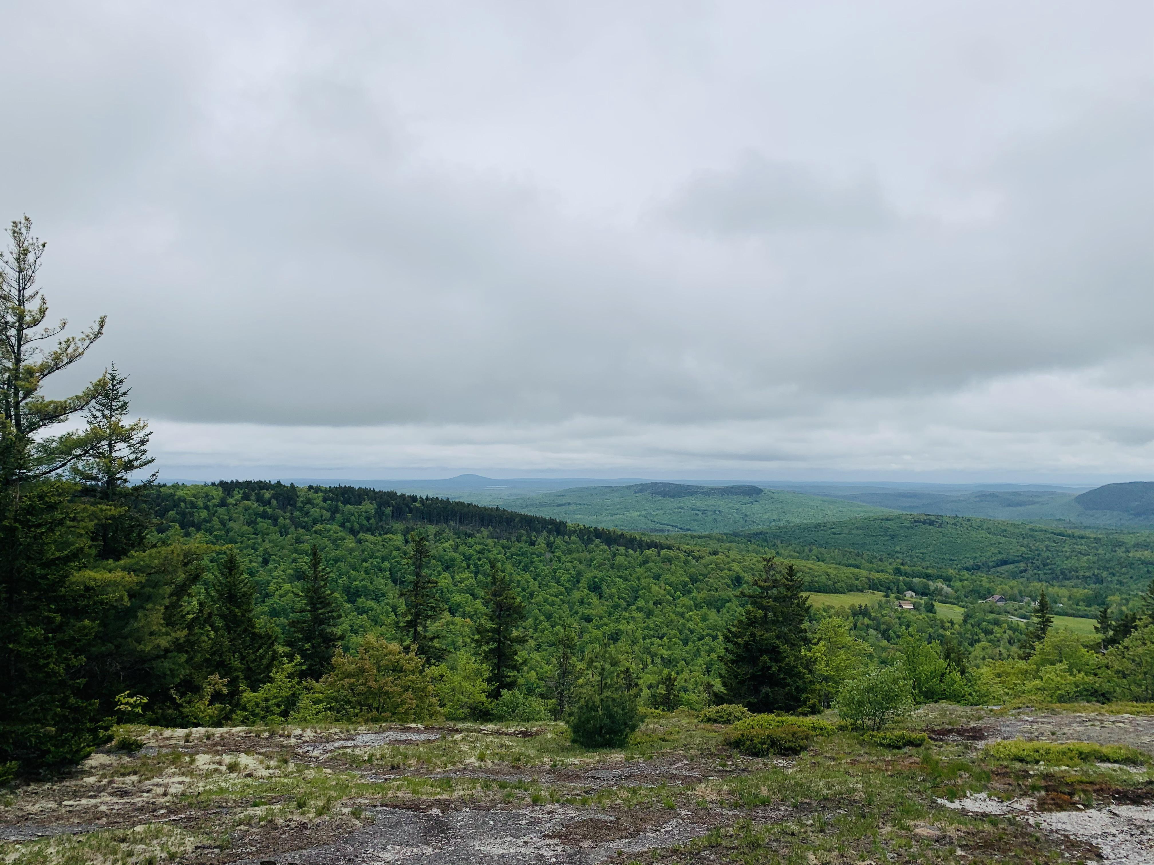 Bald Mountain | Scrolller