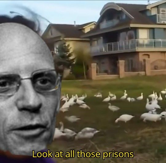 Bald theory man | Scrolller