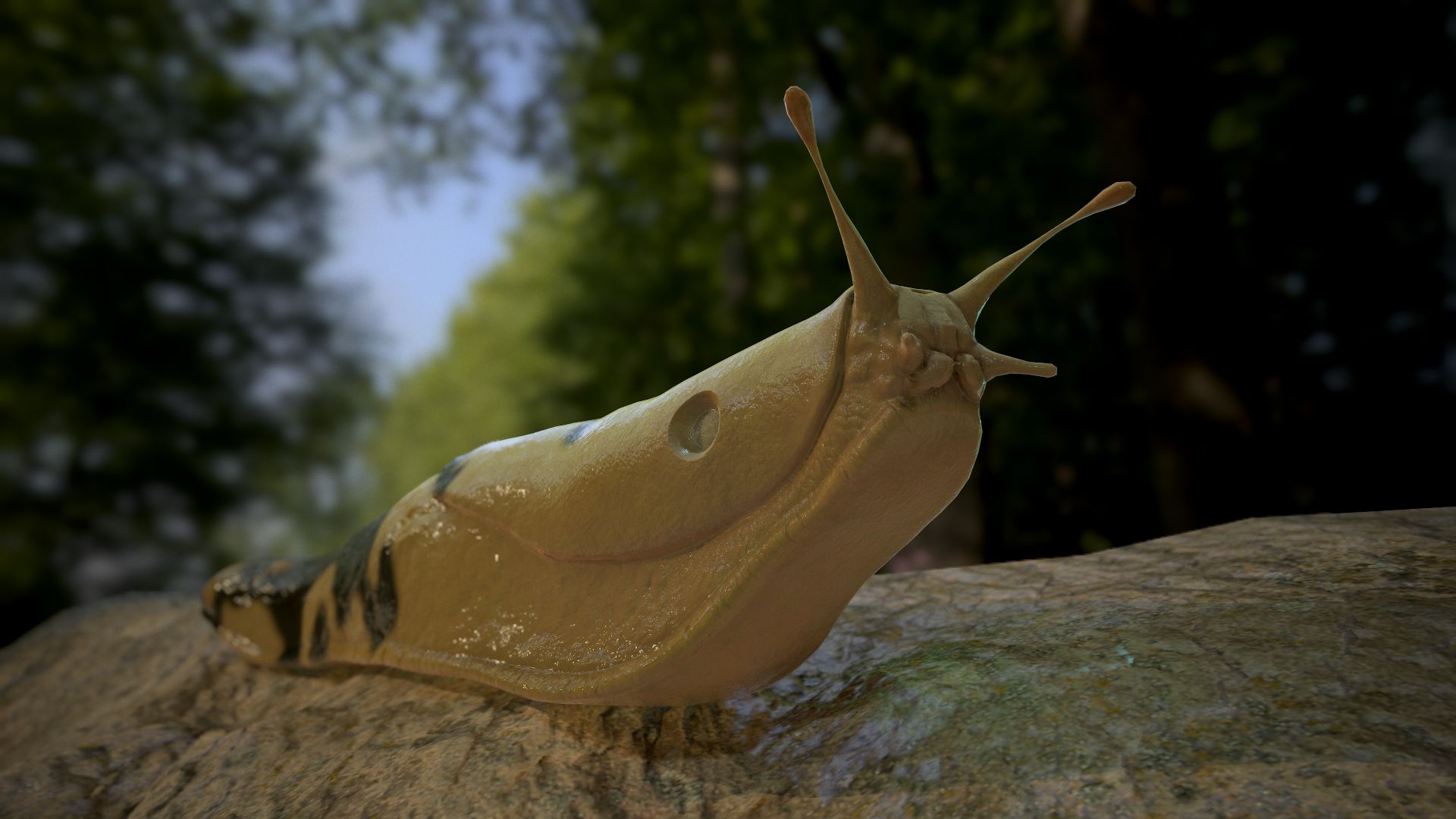 Banana Slug | Scrolller