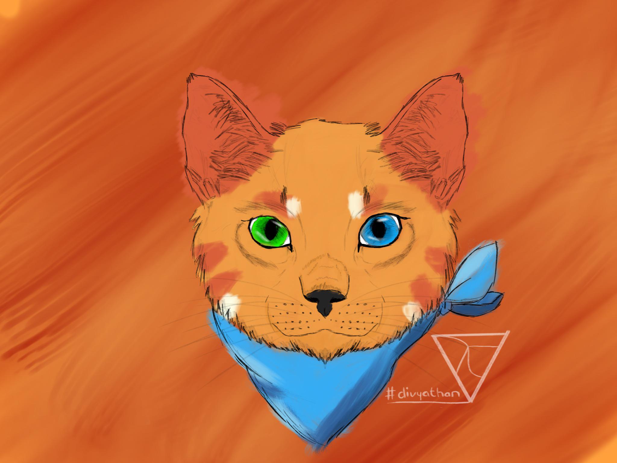 Bandit, art by me, digital, 2020 | Scrolller