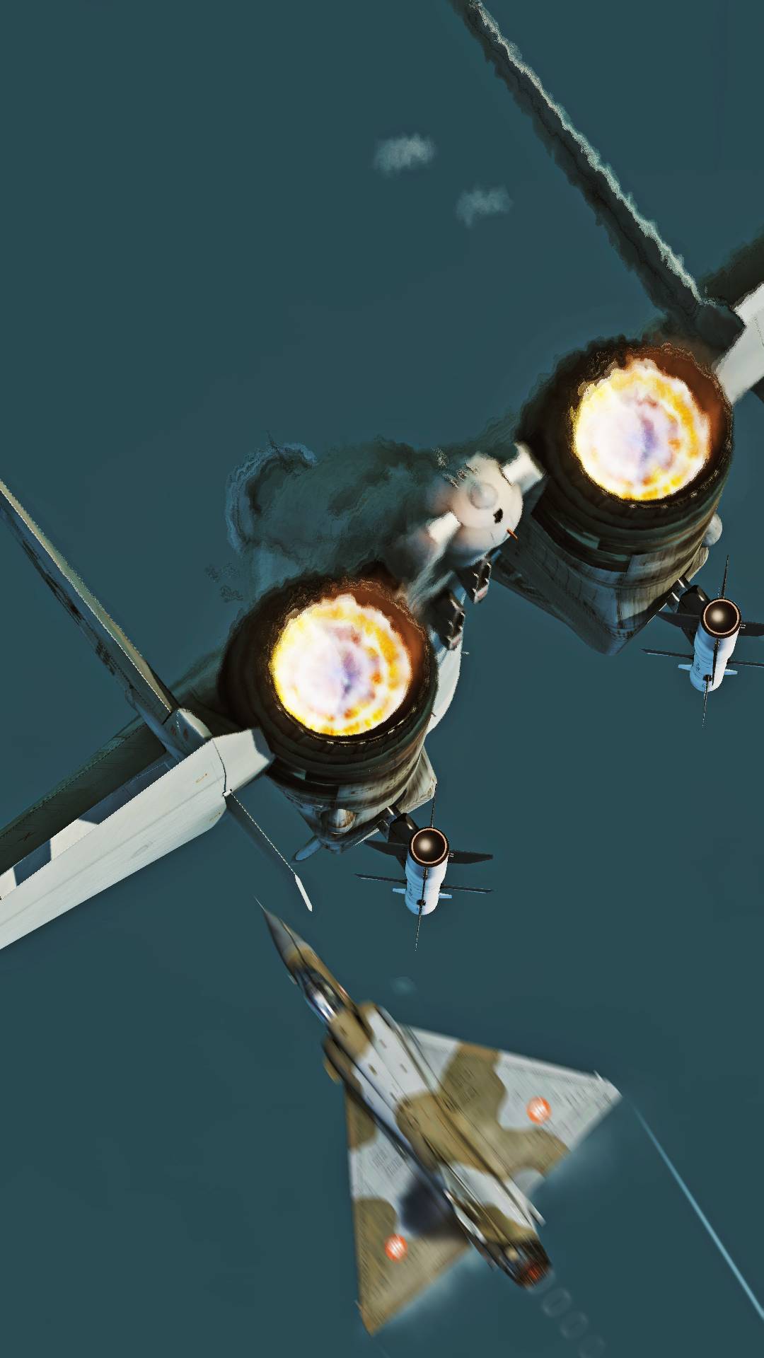 Bandit on the Nose | Scrolller