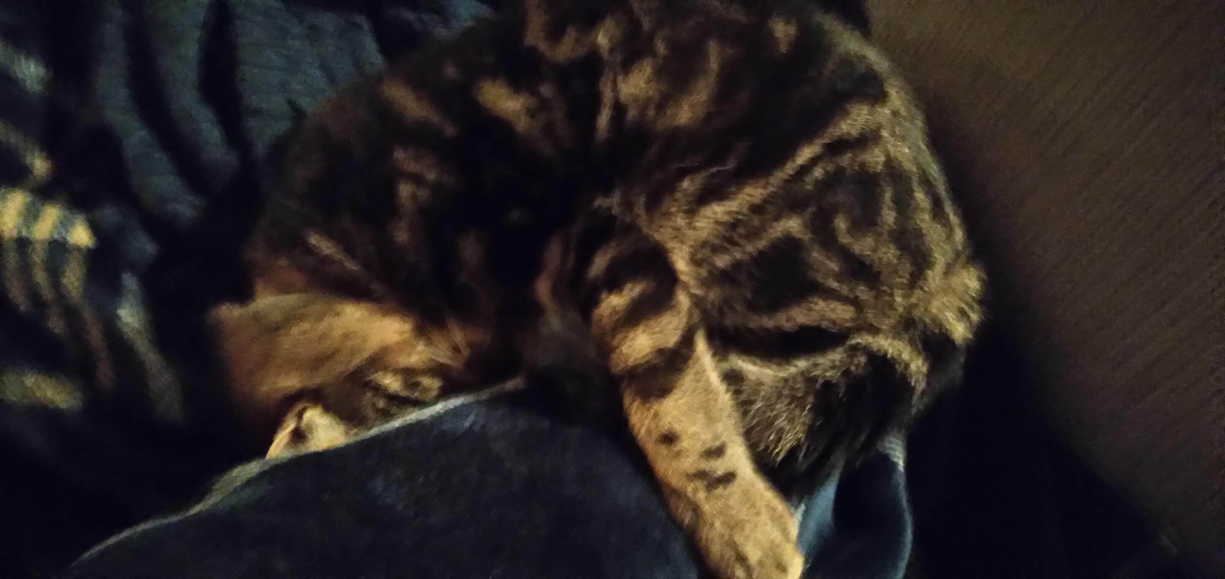 Barnaby fell asleep hugging my leg. | Scrolller
