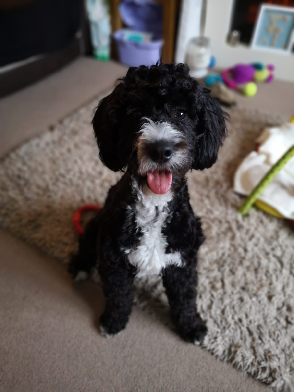 Barney 😁 | Scrolller