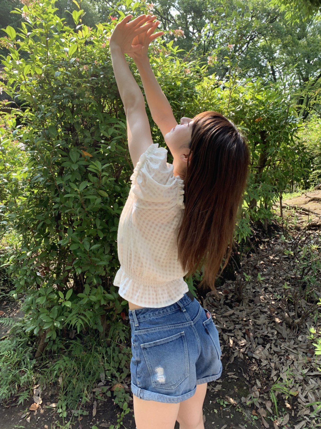 Bask in the sunlight 🔆 | Scrolller