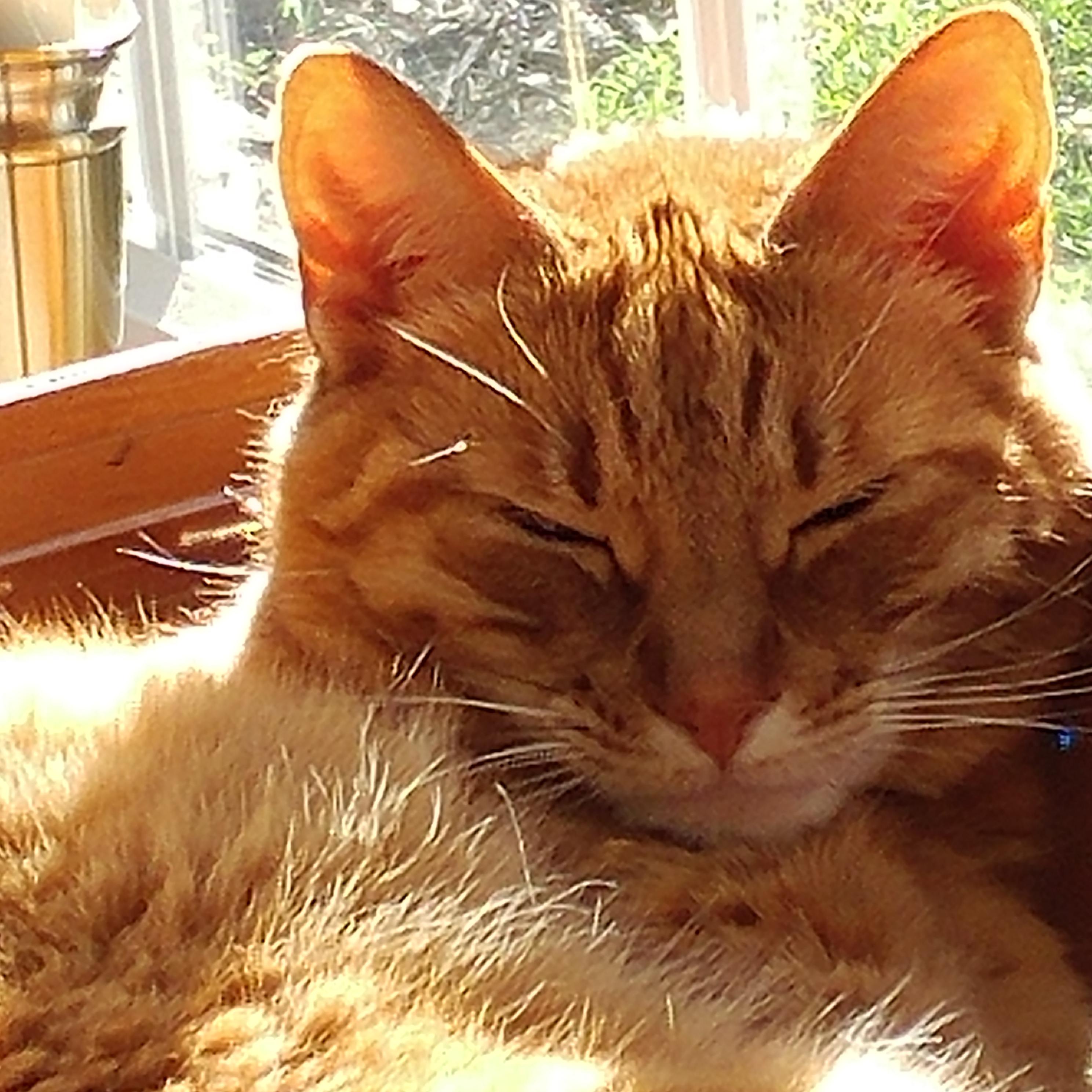 Basking :] | Scrolller