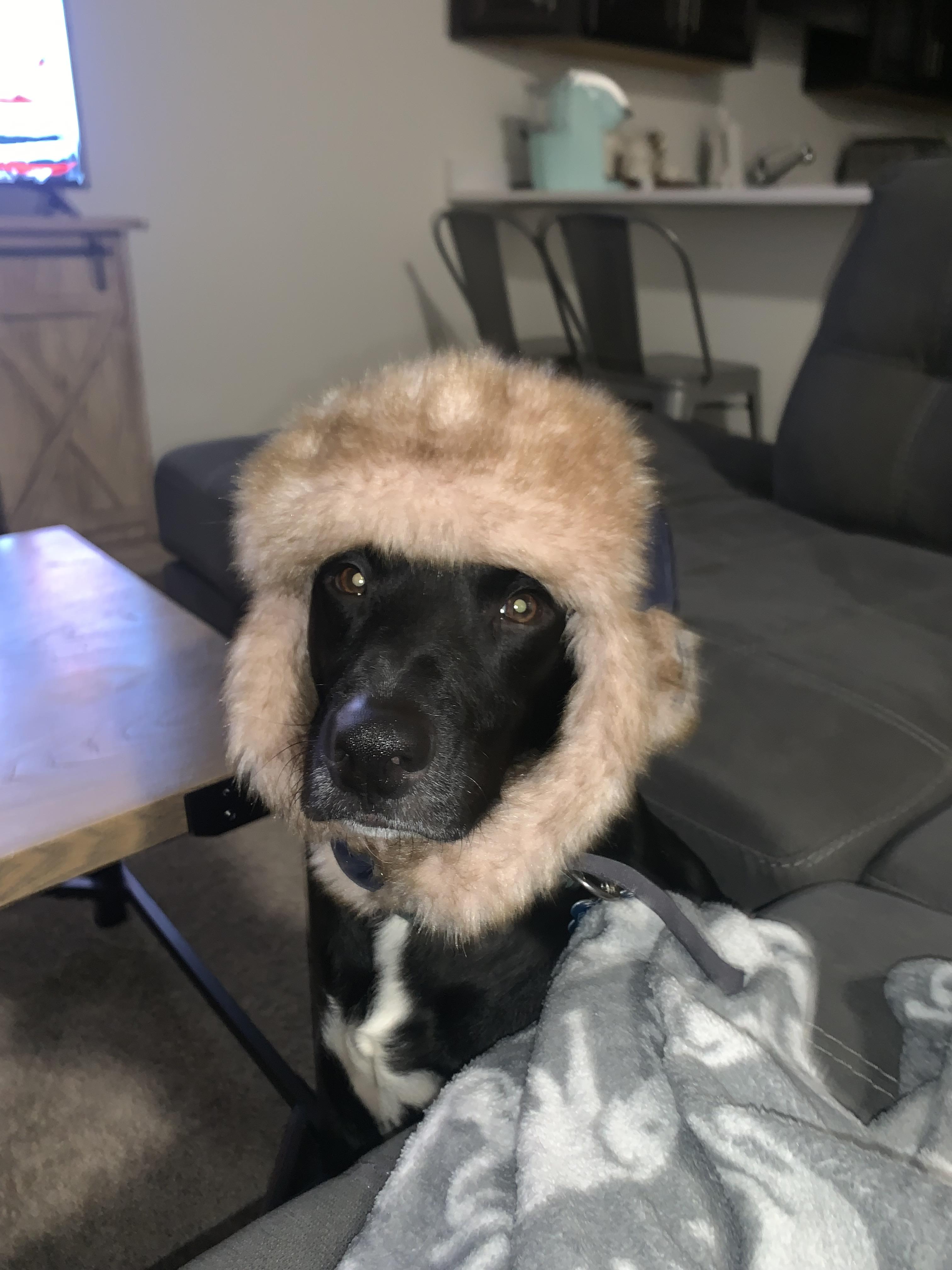 Baxter staying warm this winter | Scrolller