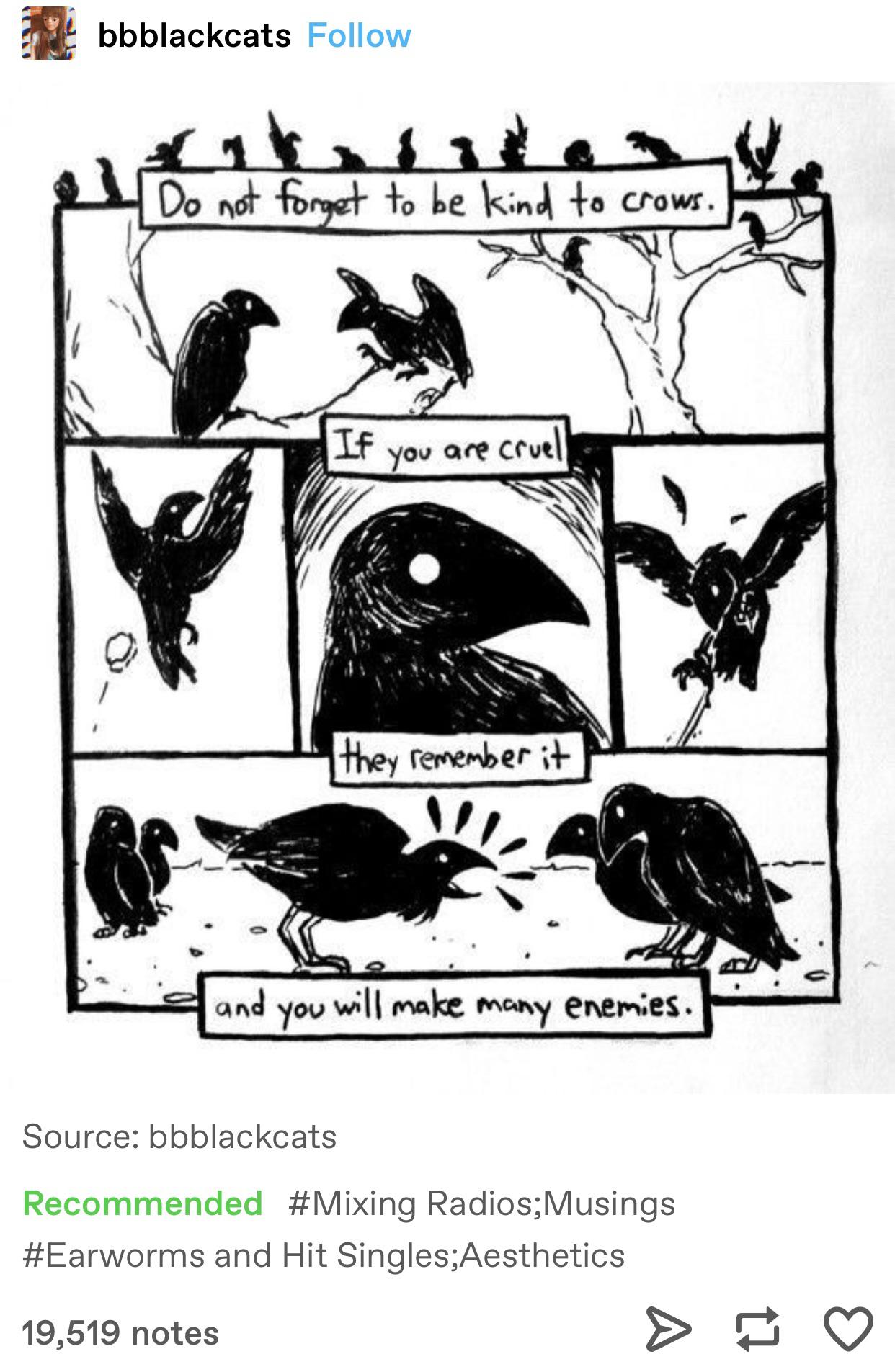 Be Kind To Crows | Scrolller