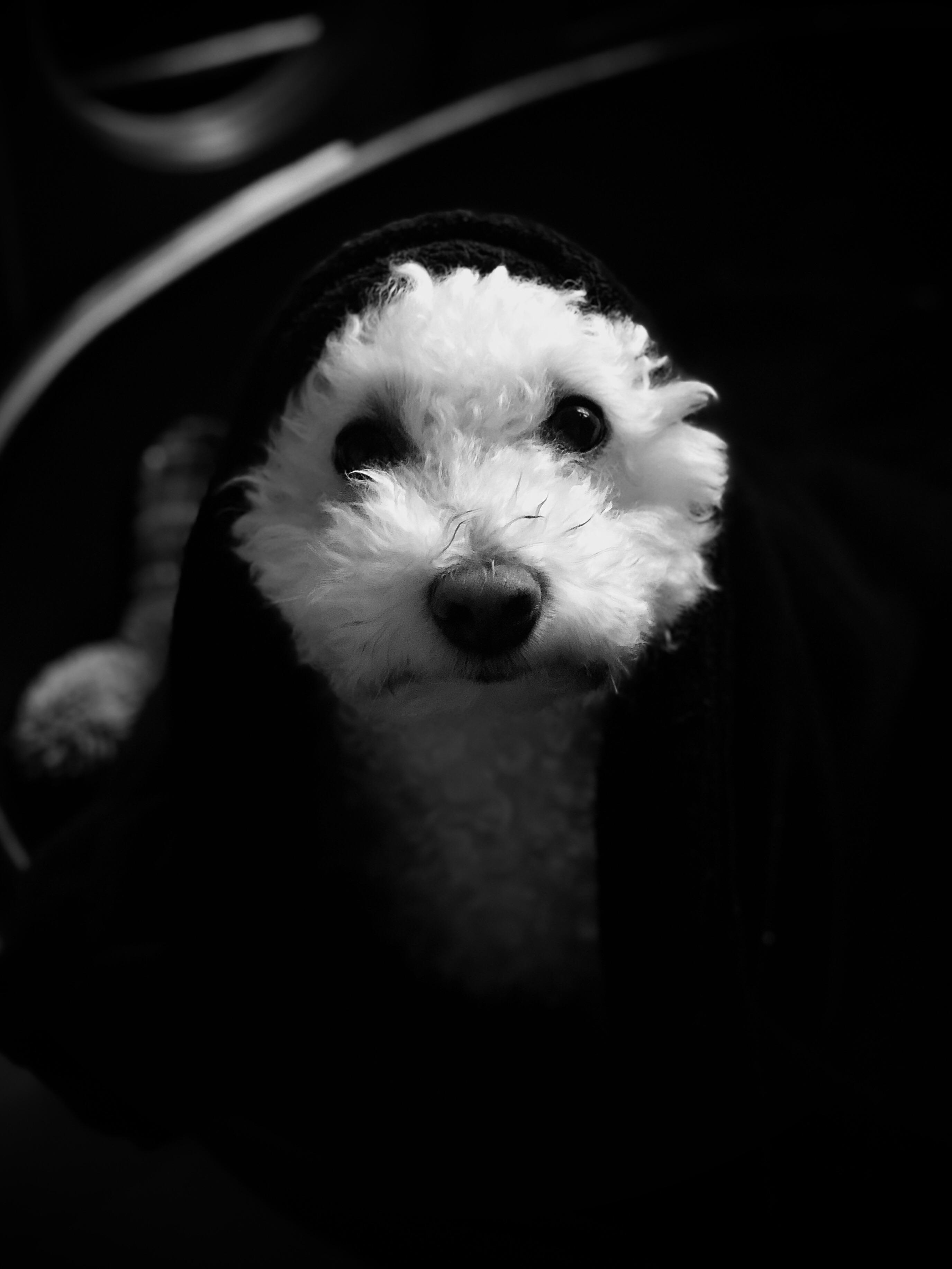 “Be mindful of your thoughts, Anakin, they betray you.” | Scrolller