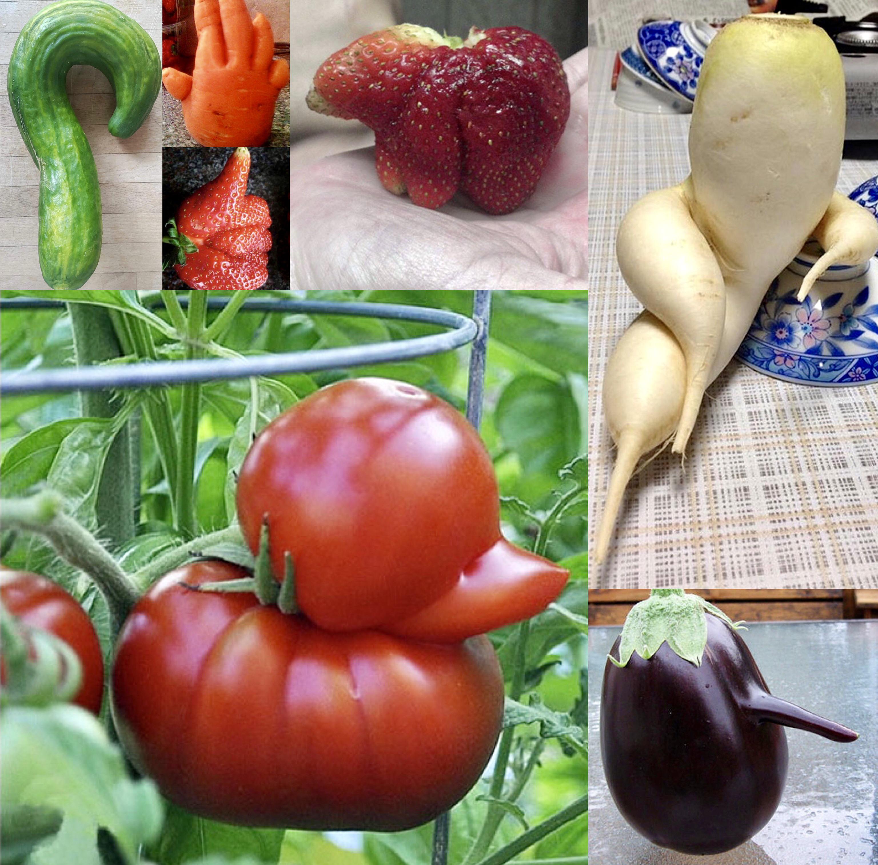 Funny-Shaped Fruits And Vegetables That Forgot How To Be Plants | Scrolller