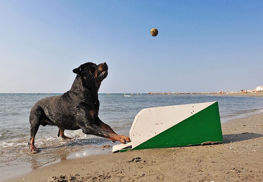 Beach ball :) | Scrolller