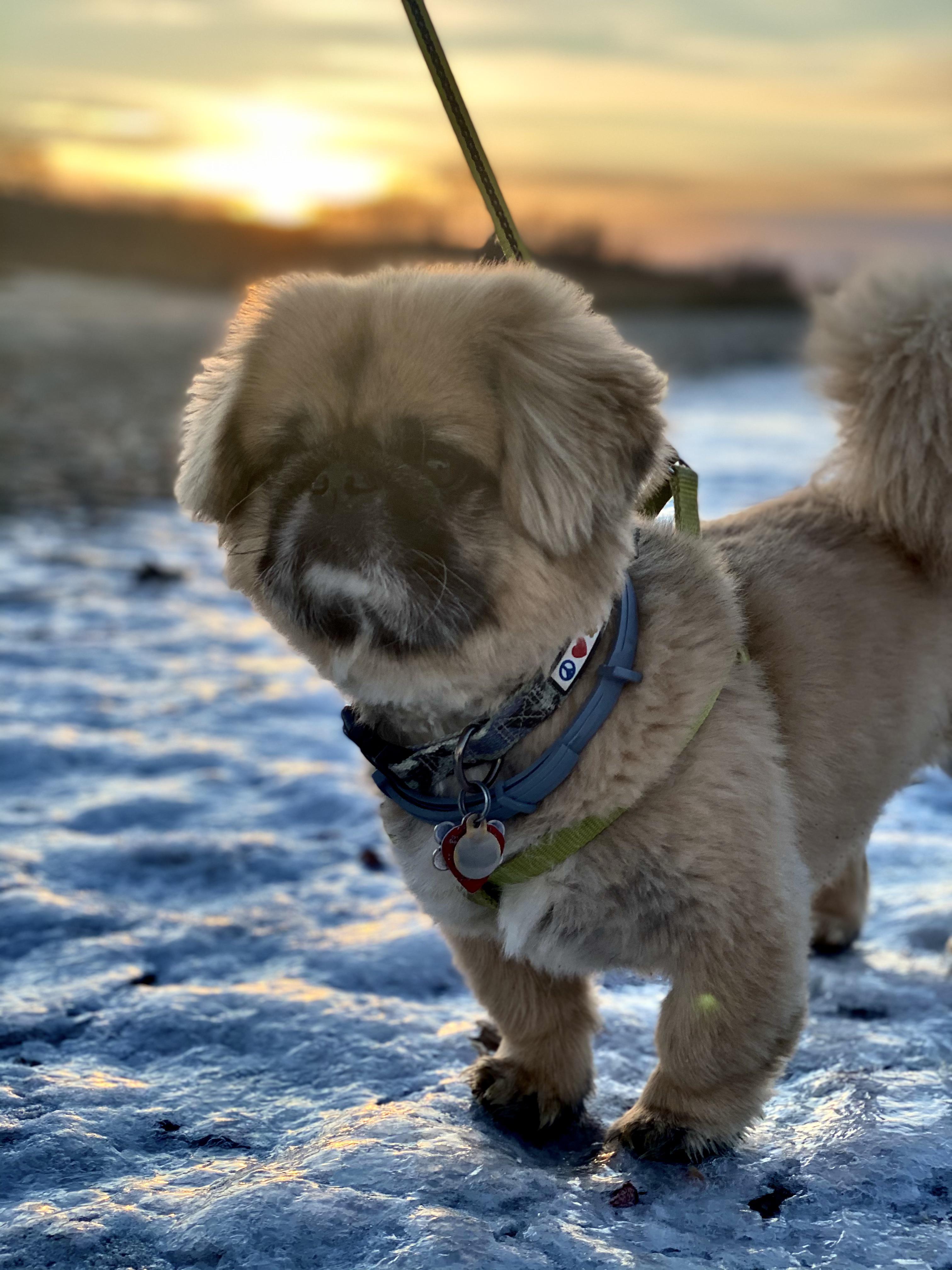 Beach Boy 😌 | Scrolller
