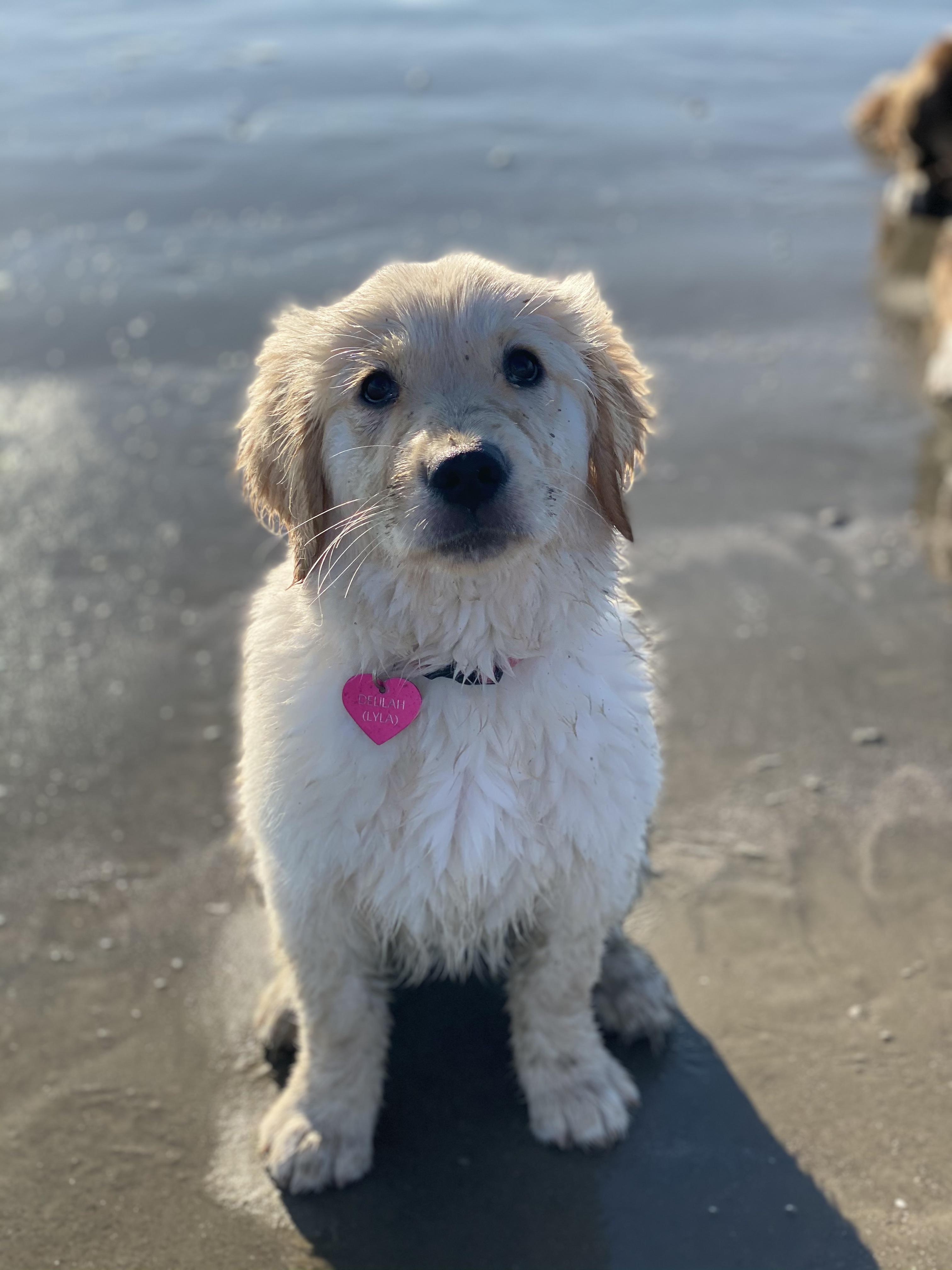 Beach bum | Scrolller