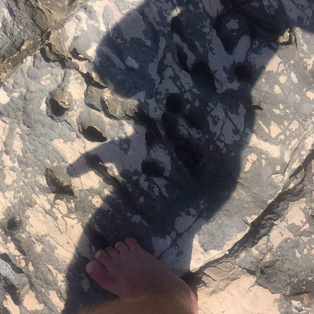 Beach Selfie Scrolller