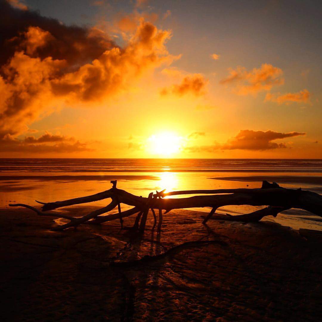 Beach Sunset | Scrolller