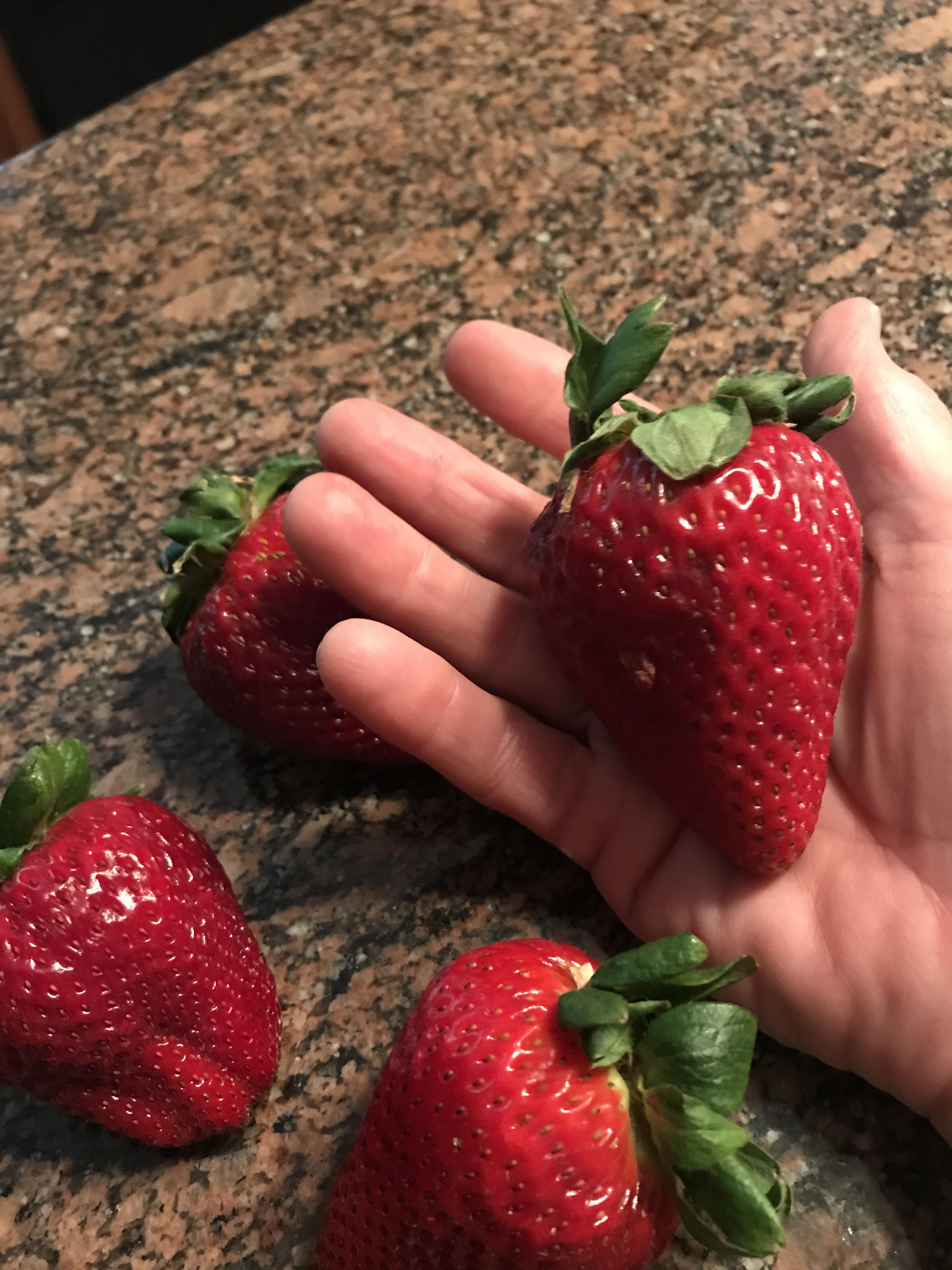 Beast strawberries that were so delicious. | Scrolller