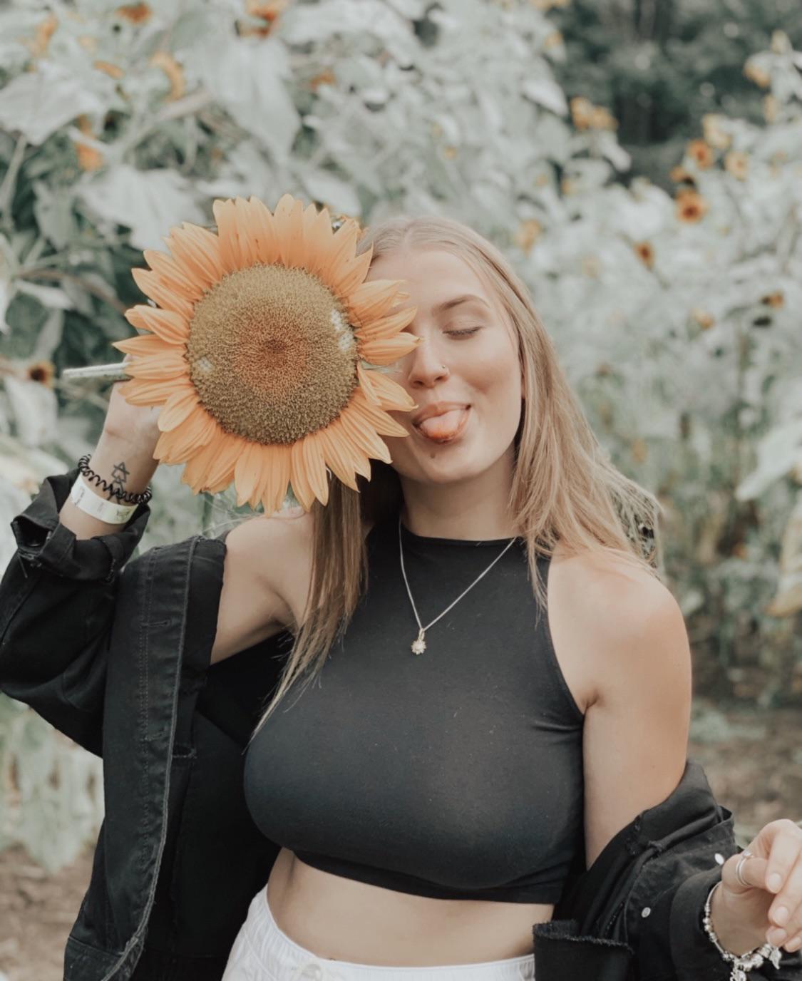 Sunflower | Scrolller