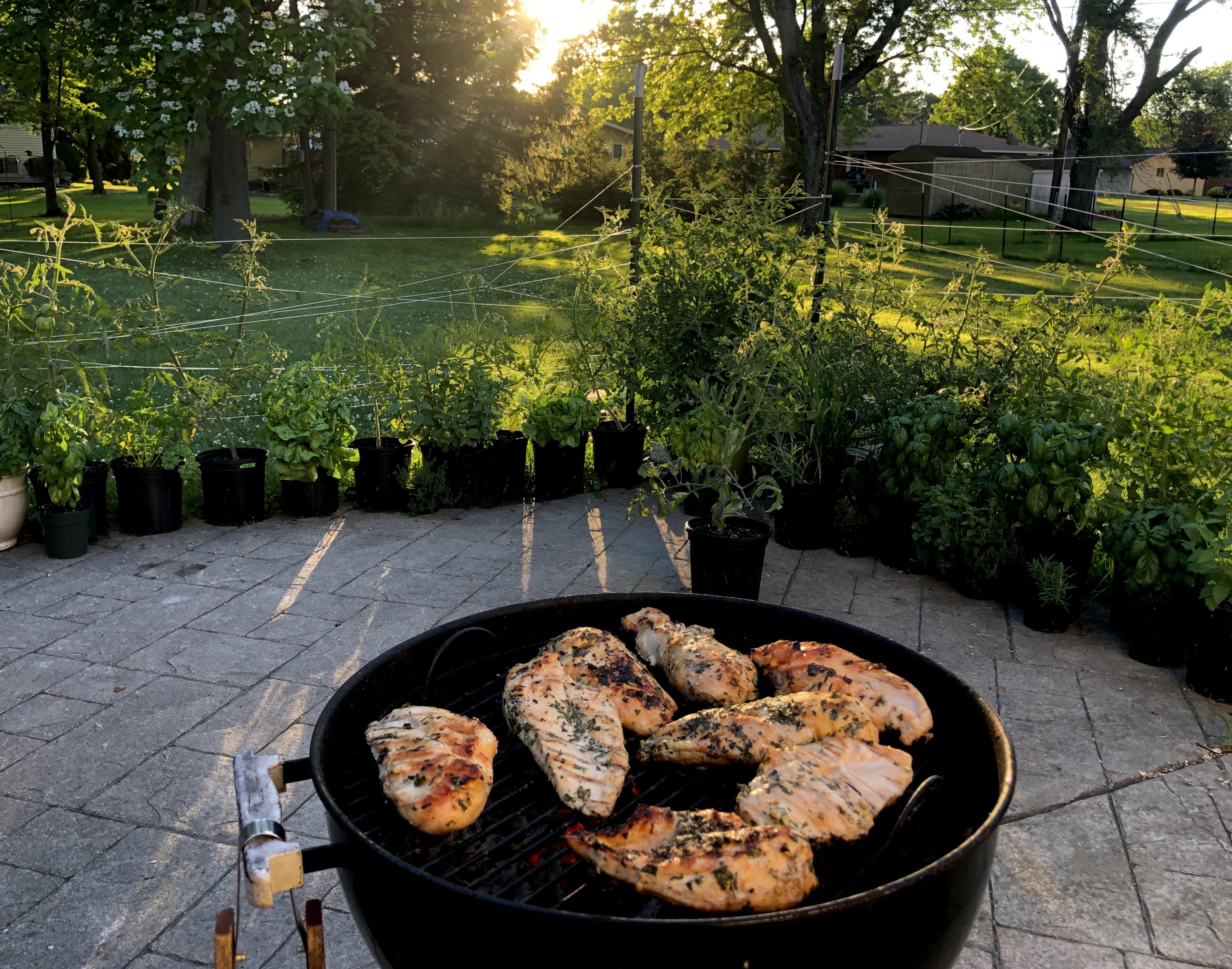 Beautiful evening | Scrolller