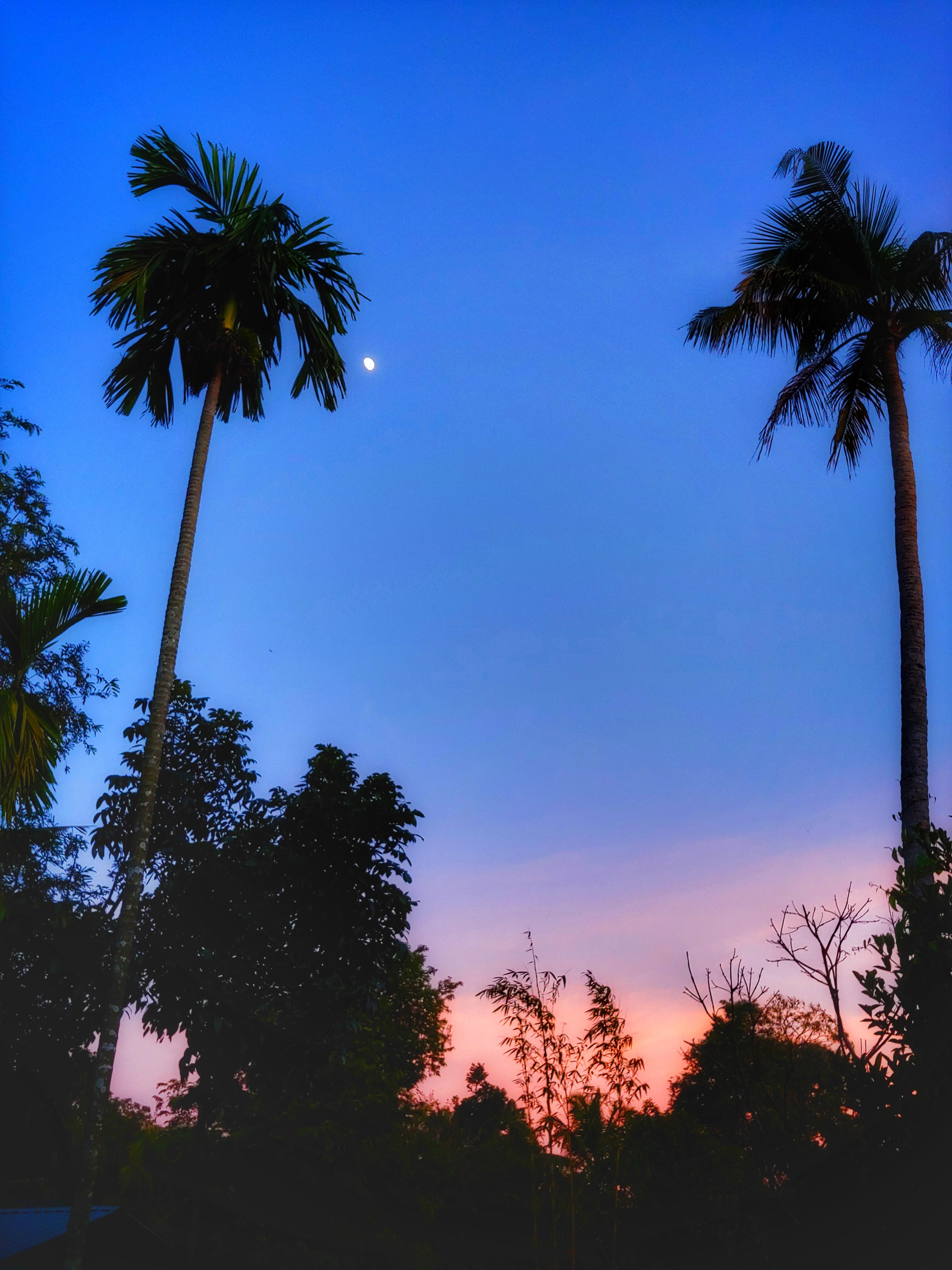 Beautiful evening | Scrolller