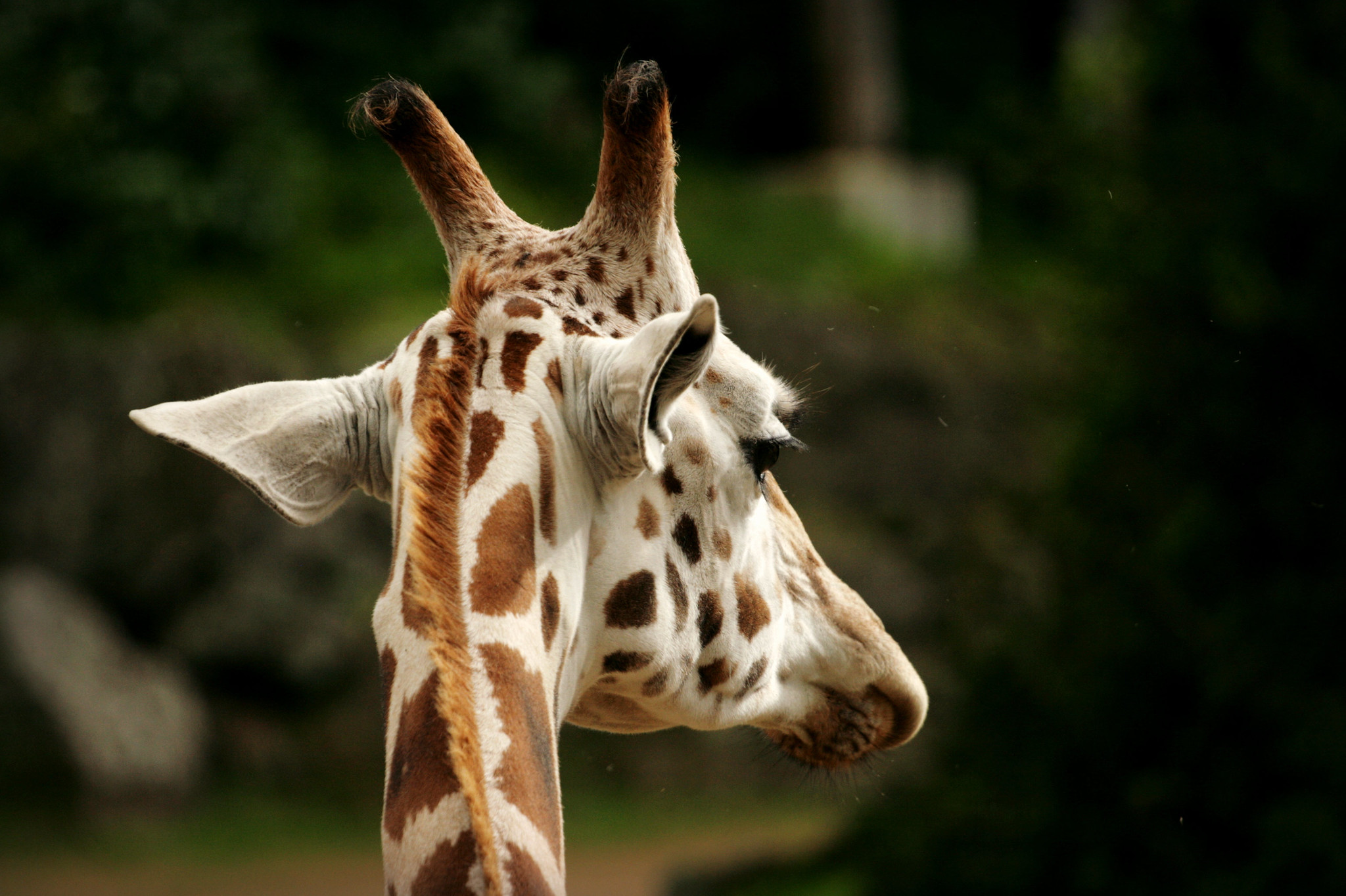 Beautiful spots | Scrolller