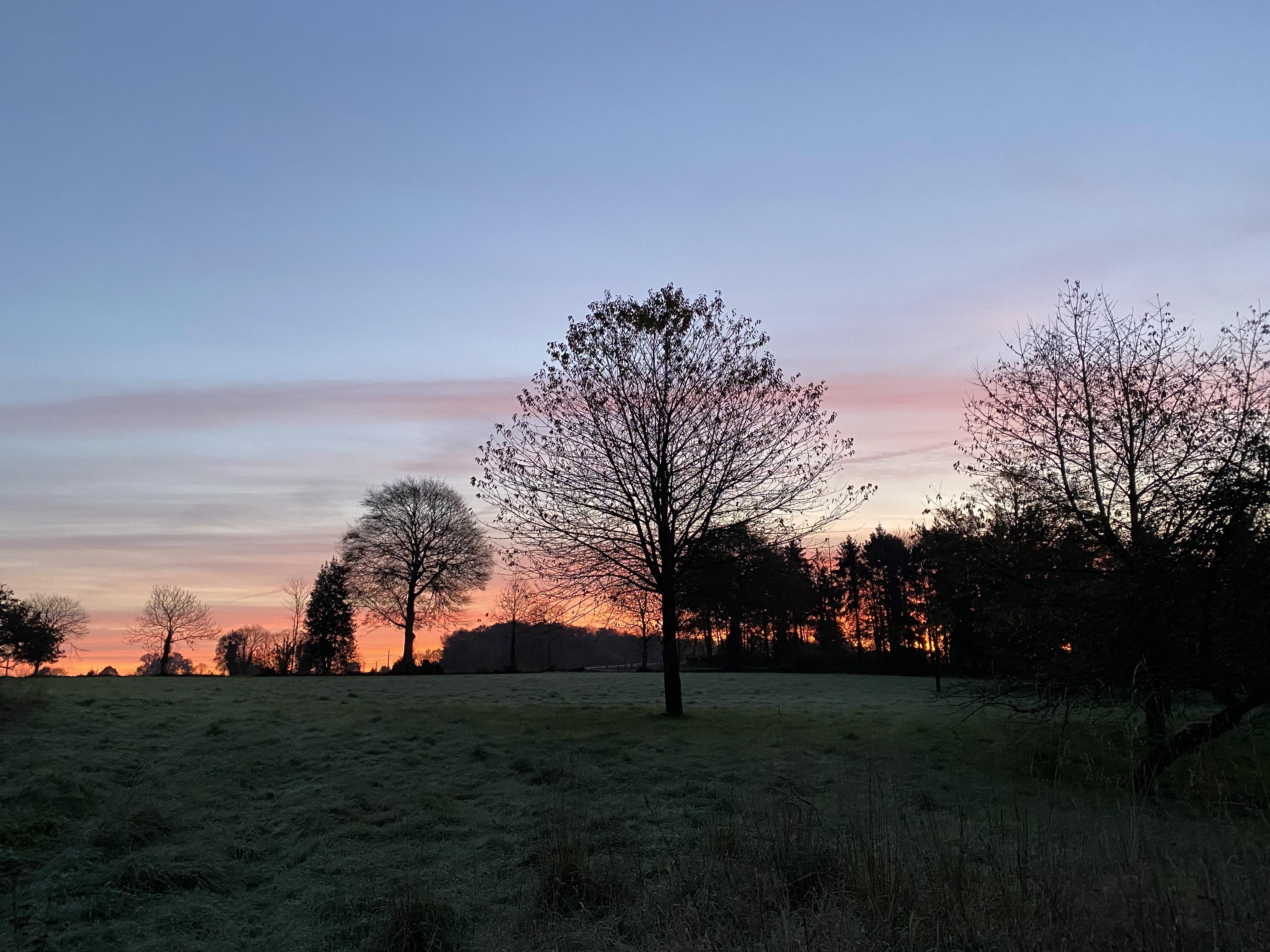 Beautiful stripy sunrise | Scrolller