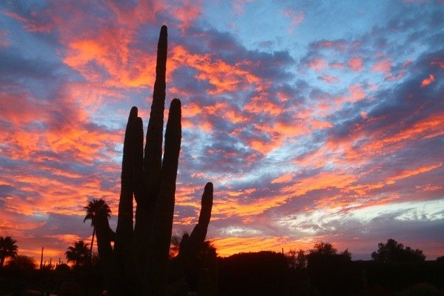 Beautiful sunset... | Scrolller