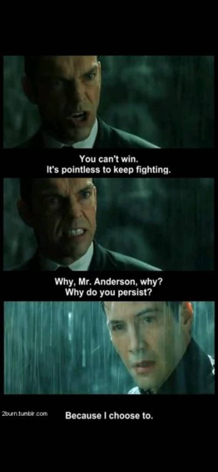 Because YOLO | Scrolller