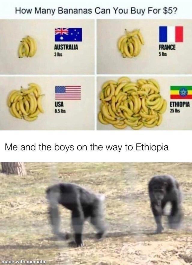 Become monke | Scrolller