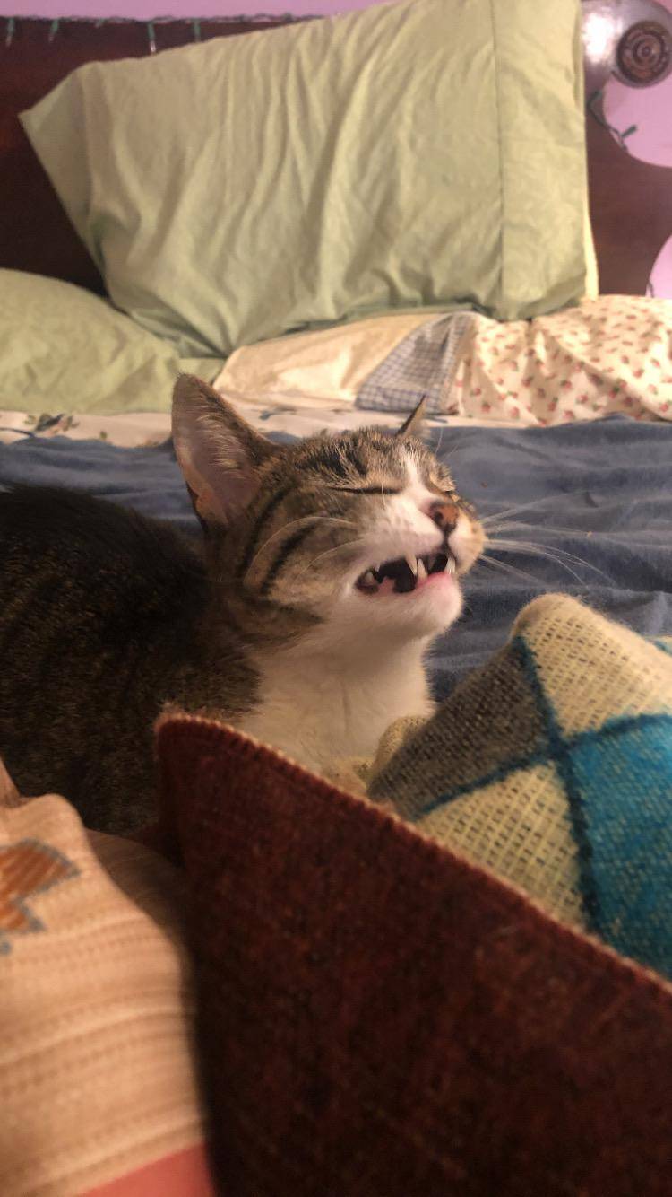 Bedtime scrunge | Scrolller