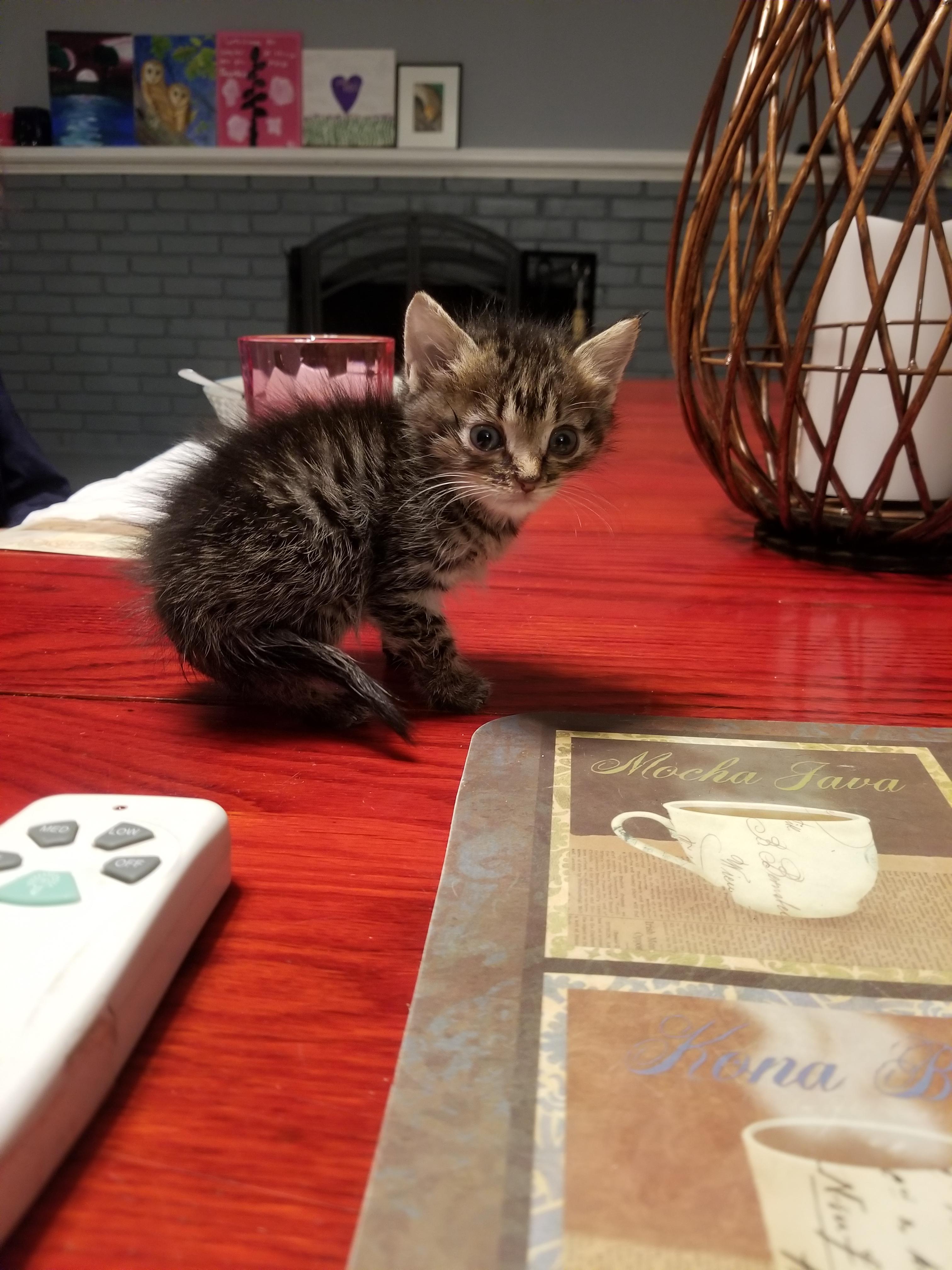 Beefcake just being adorable | Scrolller