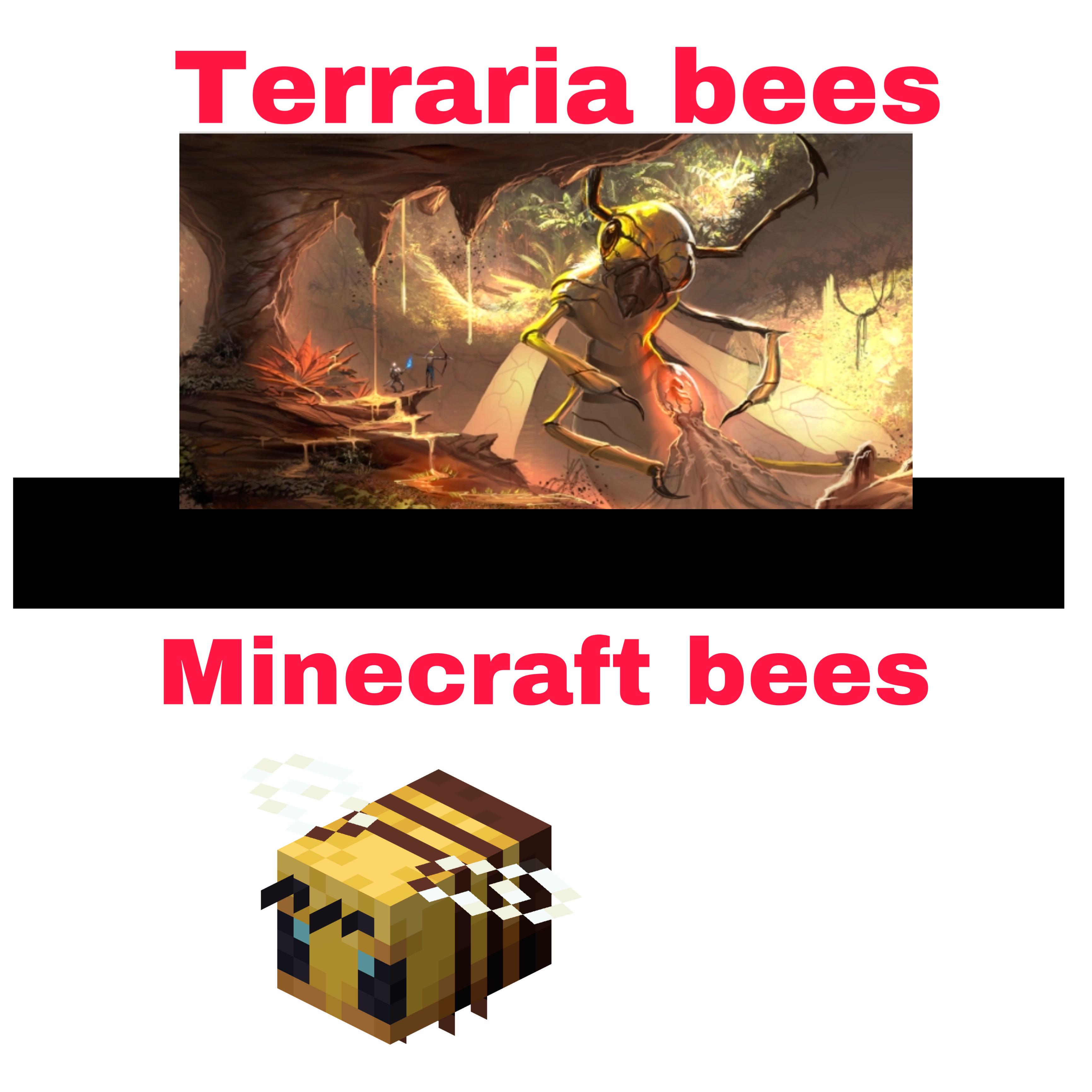 Bees | Scrolller