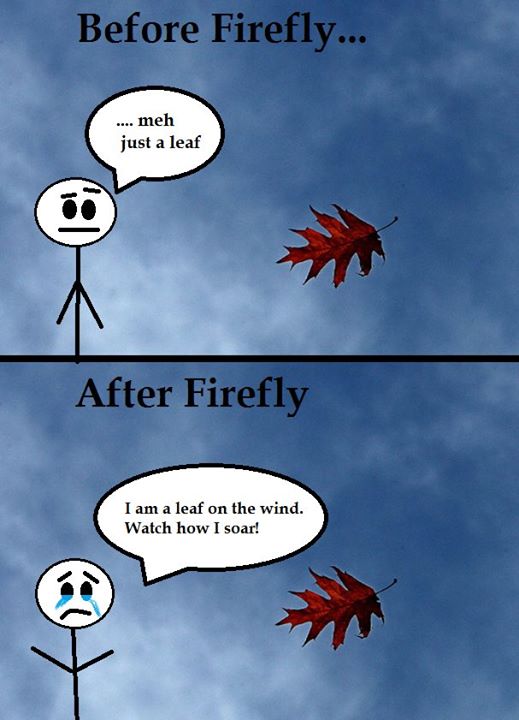 Before & After Firefly | Scrolller