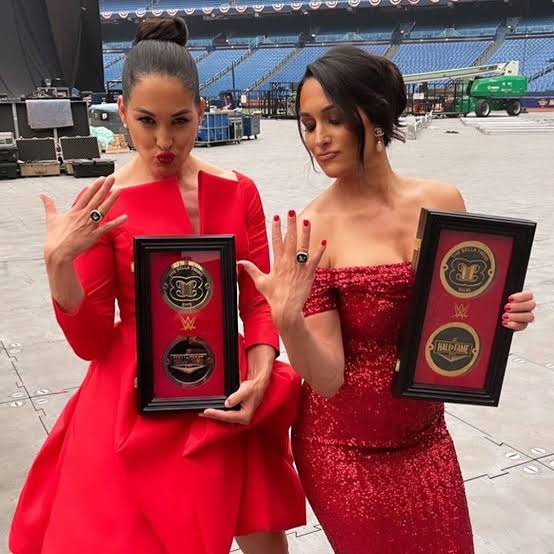 Bella twins | Scrolller