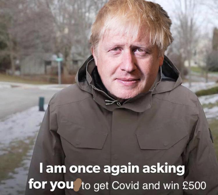 Bernie Johnson | Scrolller