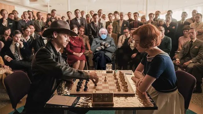 Bernies Gambit | Scrolller