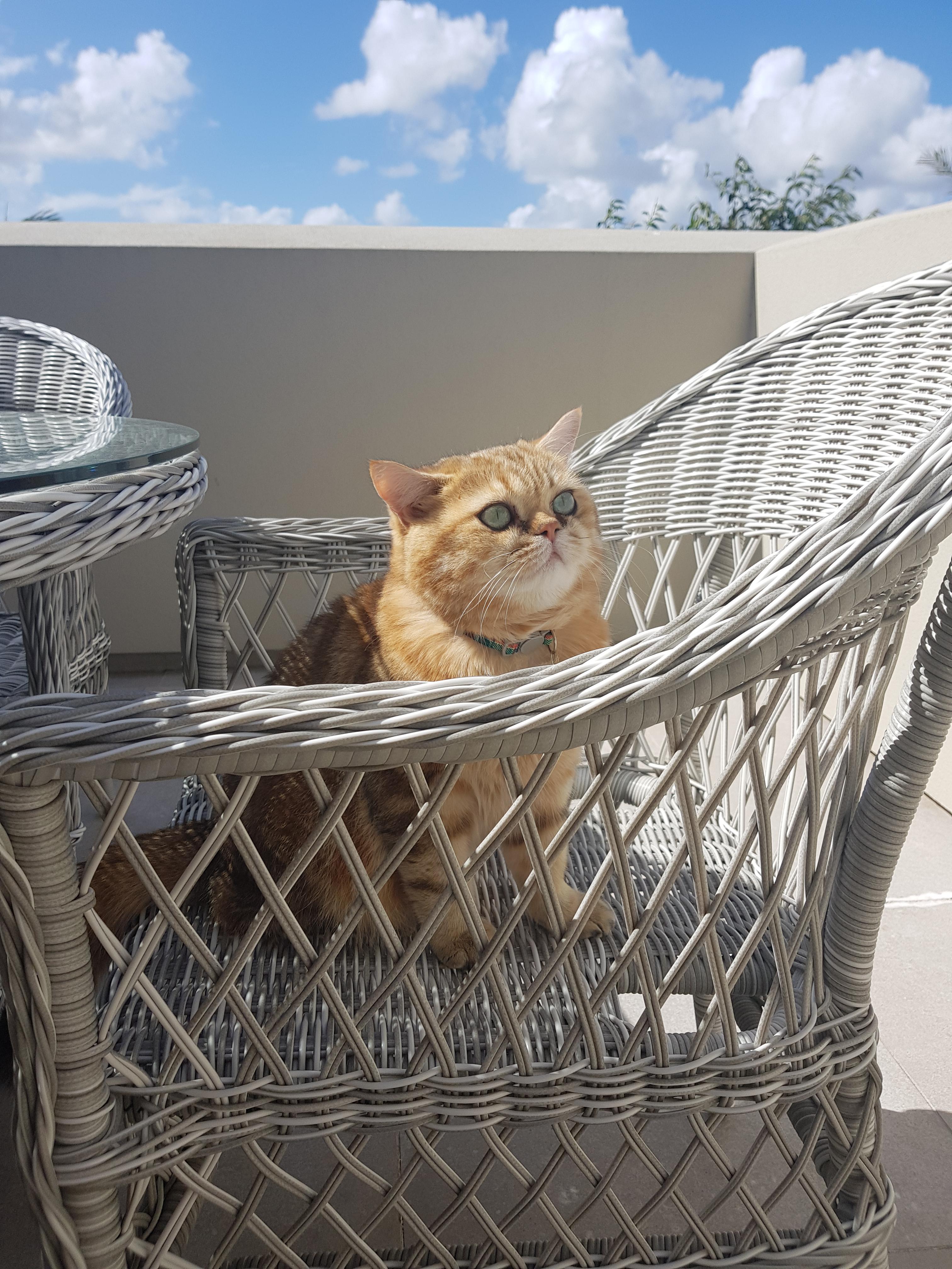 Best boy | Scrolller