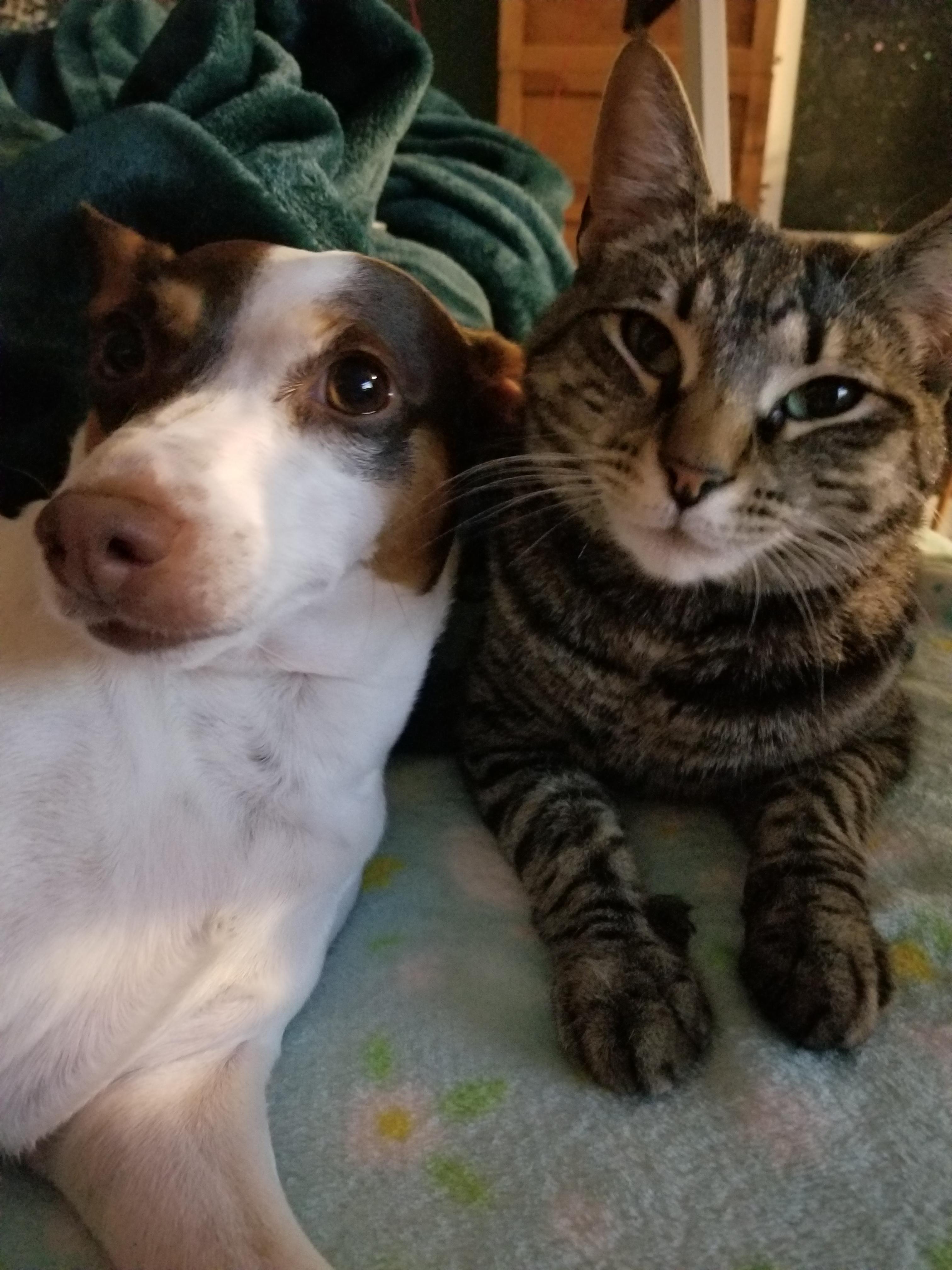 Best buds ️ | Scrolller