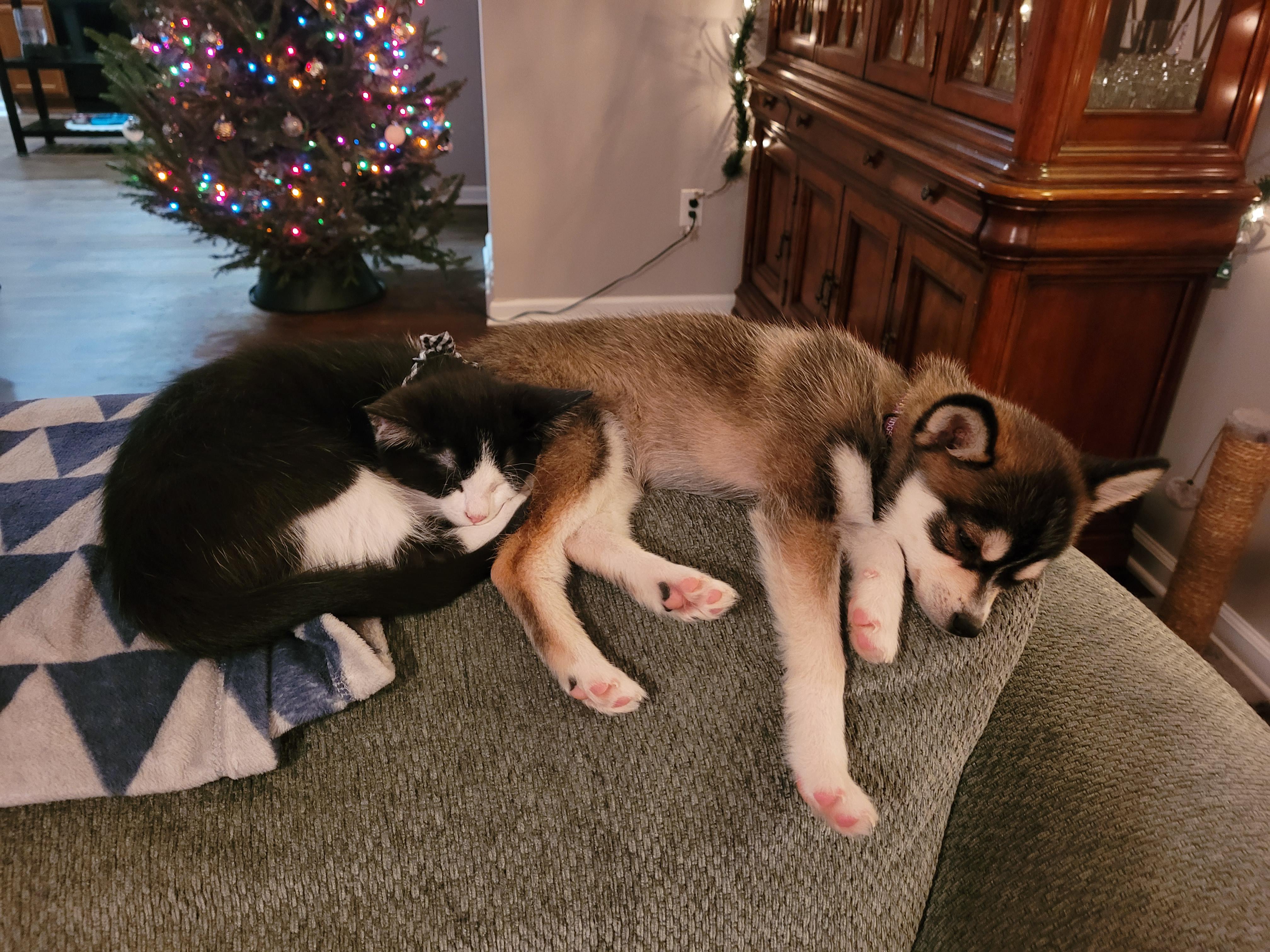 Best buds | Scrolller