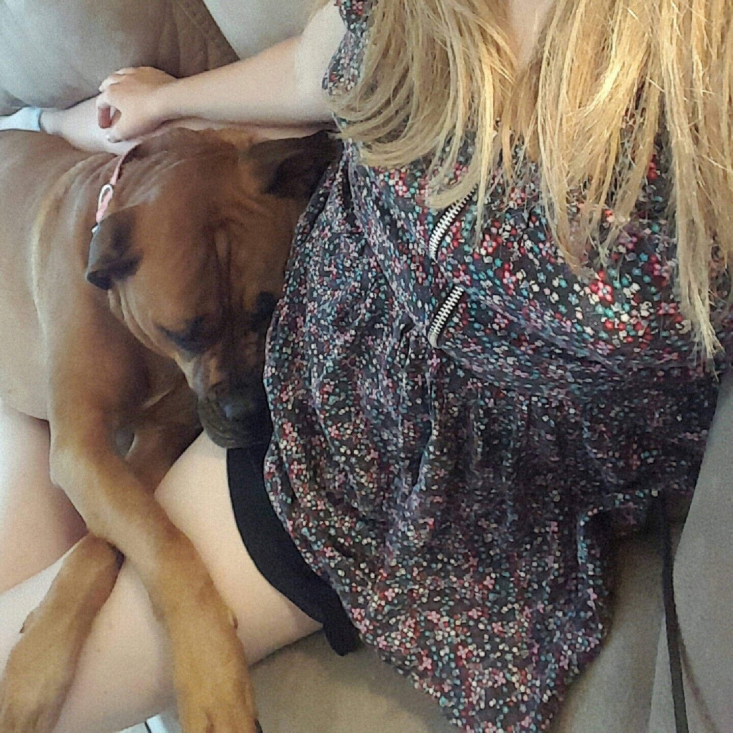 Best friends 'til the end | Scrolller