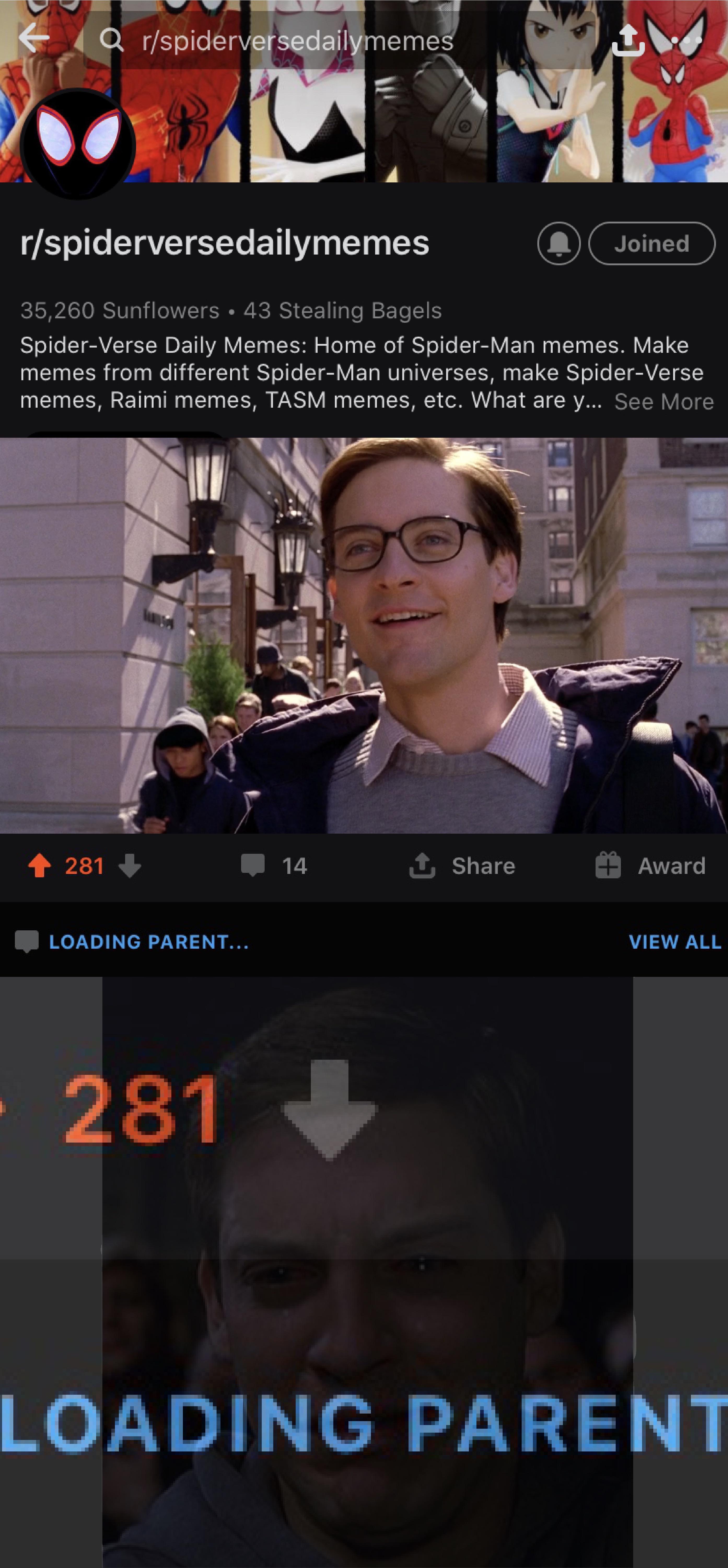 Best Peter Parker finds Reddit’s worst feature | Scrolller