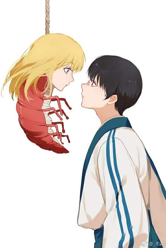 Best ship | Scrolller