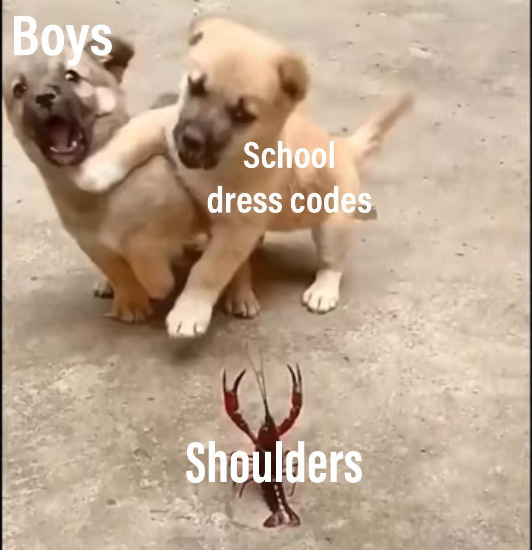 Best template ever | Scrolller