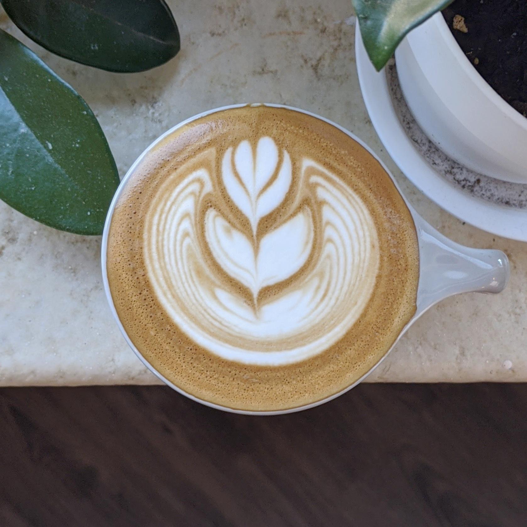 Best wing tulip so far! 6oz | Scrolller