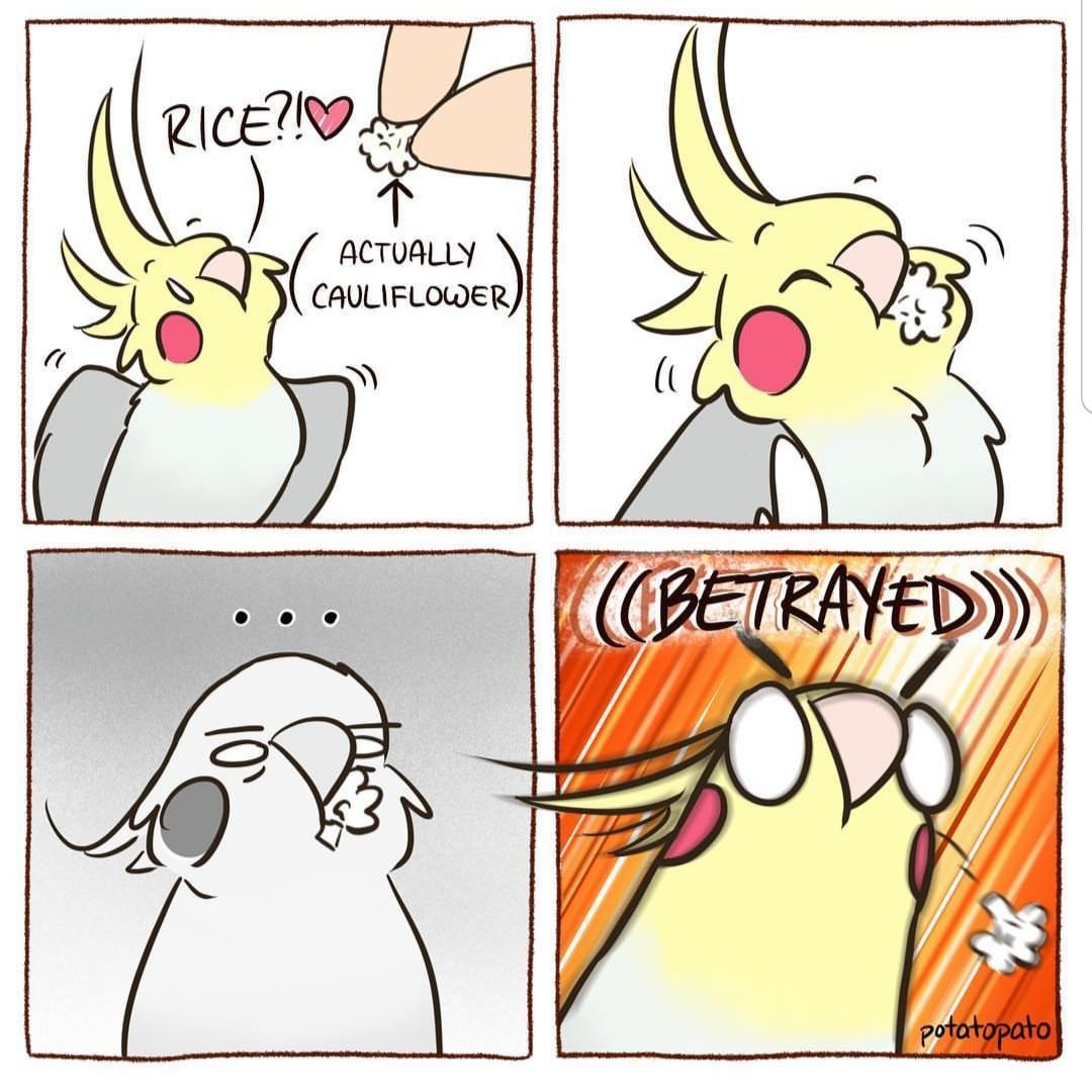 Betrayal hurts | Scrolller