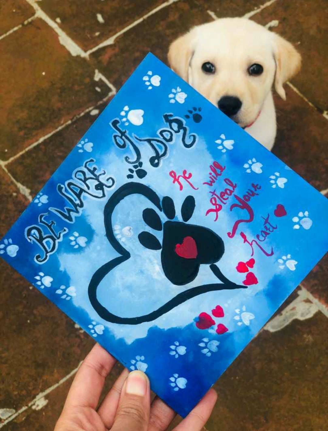 Beware of dog | Scrolller