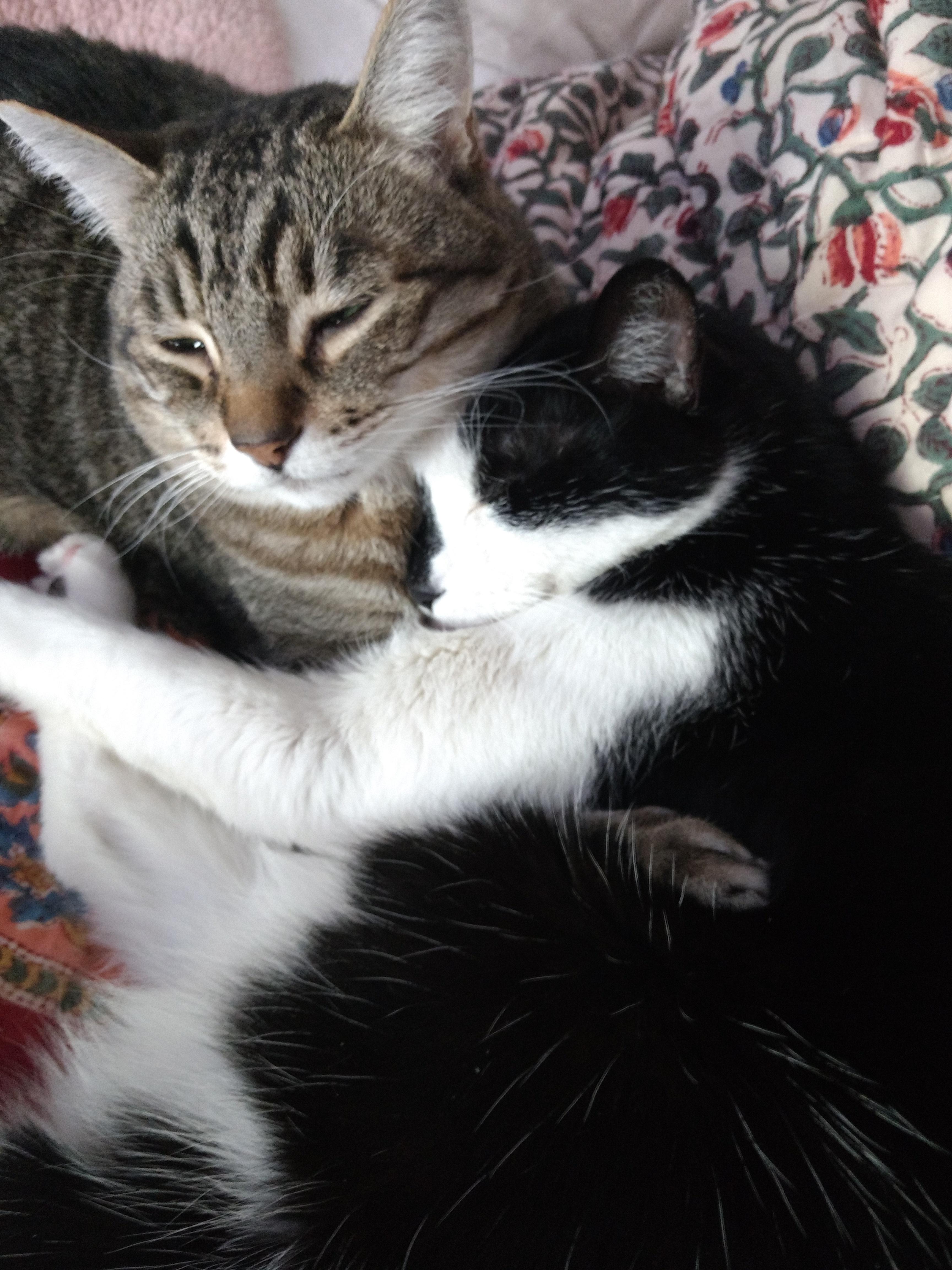 BFF's for 15 years and counting! | Scrolller