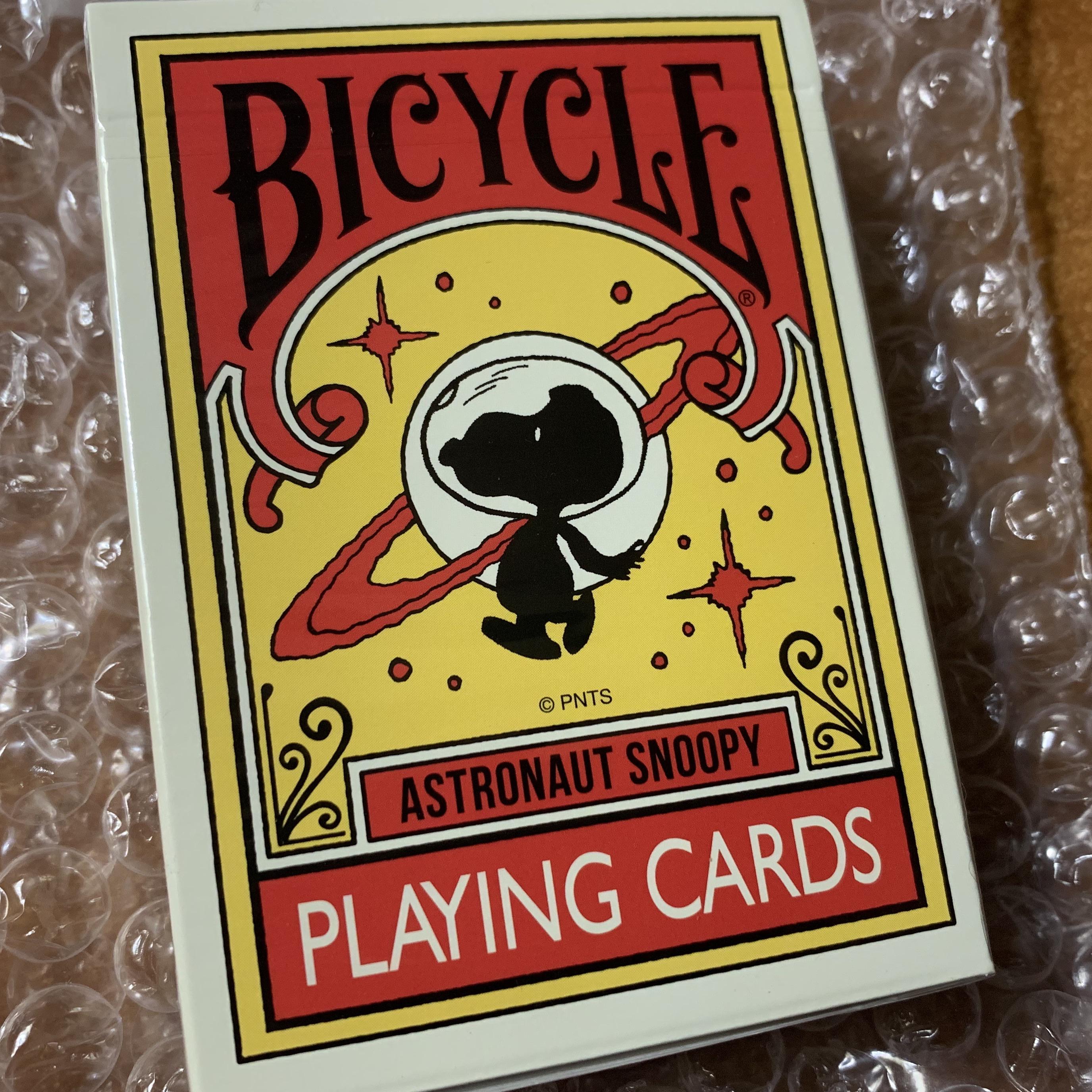 Bicycle Astronaut Snoopy | Scrolller